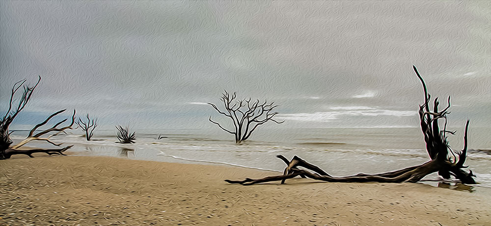 April 11, 2021 – Jim Dollar's Photography and Philosophy