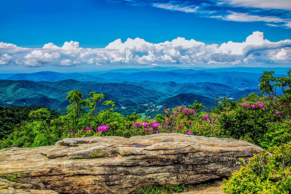 March 11-A, 2023 – Jim Dollar's Photography and Philosophy