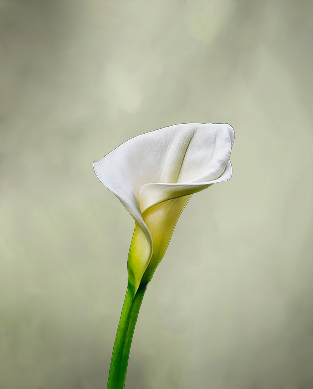 August, 2023 – Jim Dollar's Photography and Philosophy