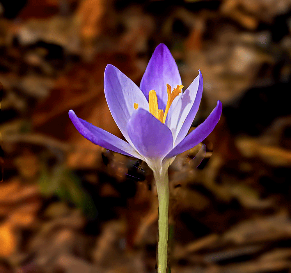 July 31, 2023 – B – Jim Dollar's Photography and Philosophy