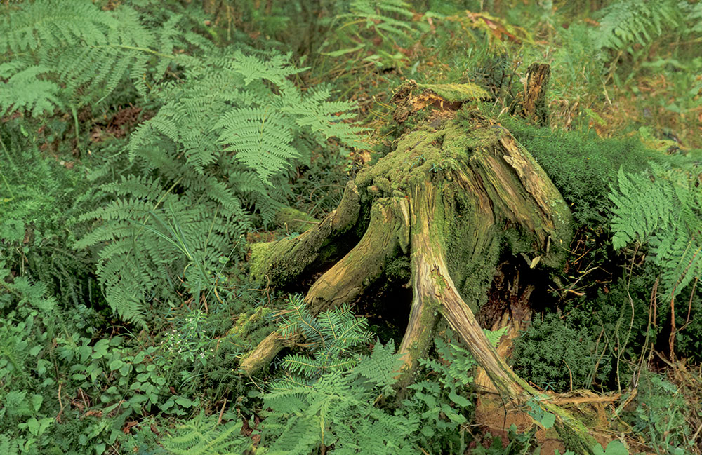 August 02, 2024 – A – Jim Dollar's Photography and Philosophy