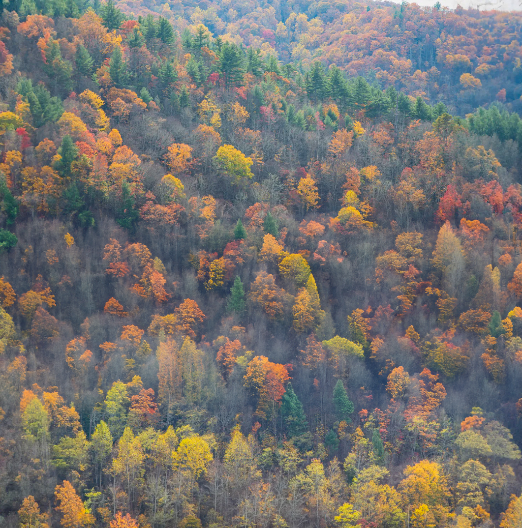 November 17, 2024 – Jim Dollar's Photography and Philosophy