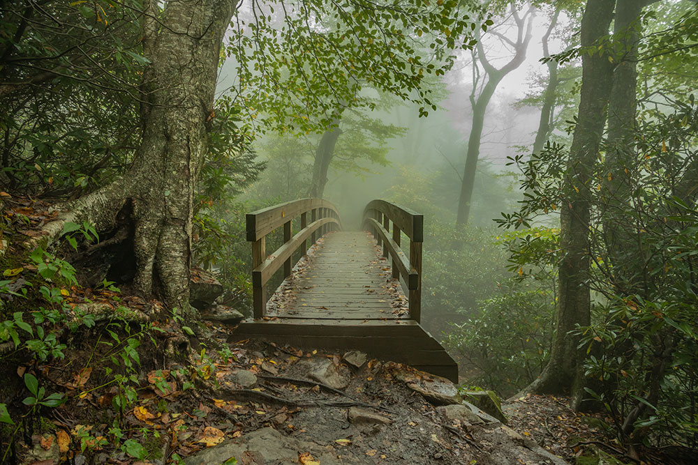 April 06, 2025 -B – Jim Dollar's Photography and Philosophy