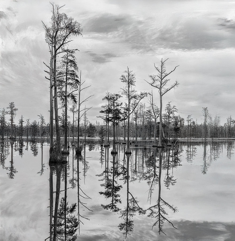 July 16, 2025 – Jim Dollar's Photography and Philosophy