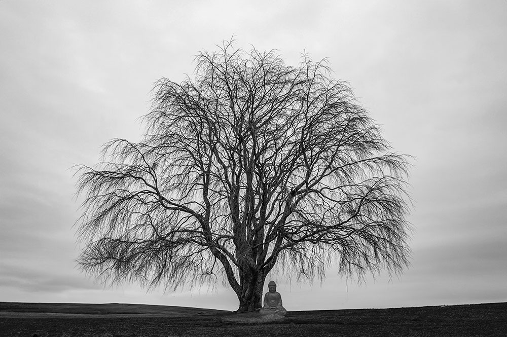 November 22, 2025 – Jim Dollar's Photography and Philosophy