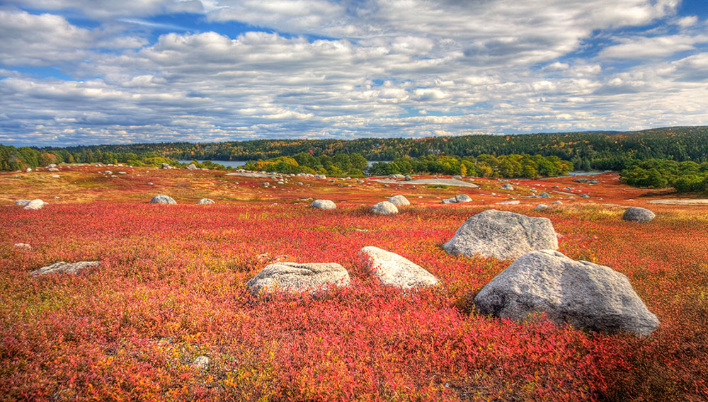 January 14, 2025 – Jim Dollar's Photography and Philosophy